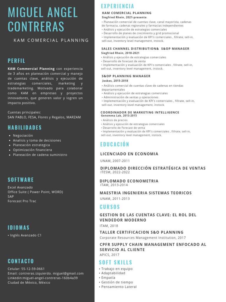 CV KAM 2024_Miguel Angel Contreras Izquierdo | PDF | Economias | Business