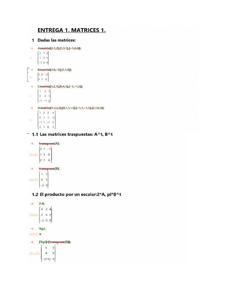 Entrega 1, Matrices 1 | PDF