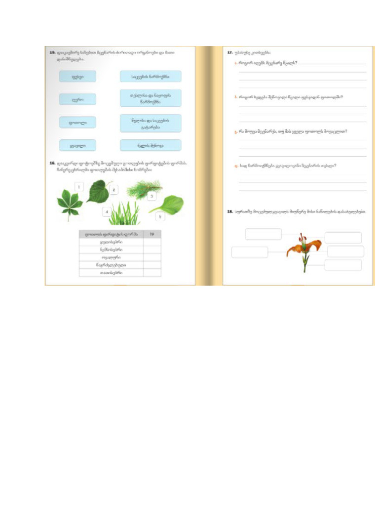 ტესტი Bunebasi Pdf