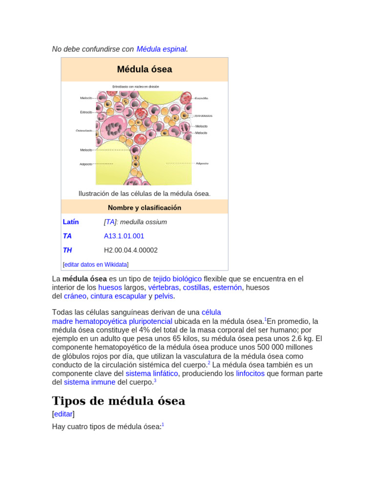 medula ósea | PDF | Médula ósea | Anatomía