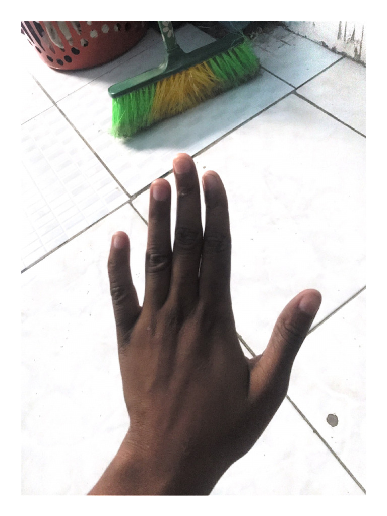 Reference Letter 2 | PDF