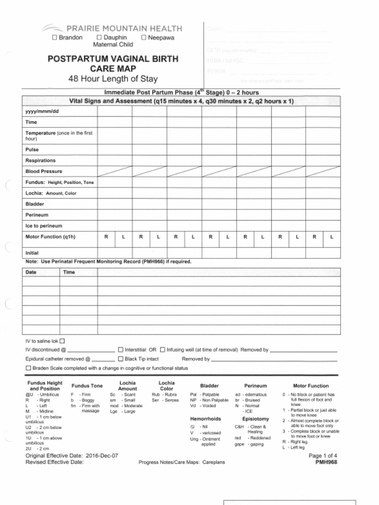 Postpartum Vaginal Birth Care Map | PDF