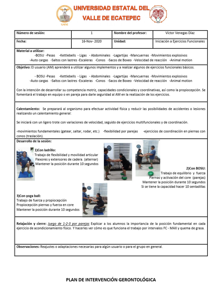 Plan Funcional GERO | PDF