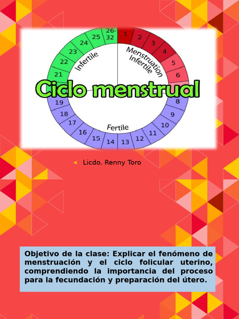 CICLO MENSTRUAL | PDF | Ciclo menstrual | Hormona luteinizante
