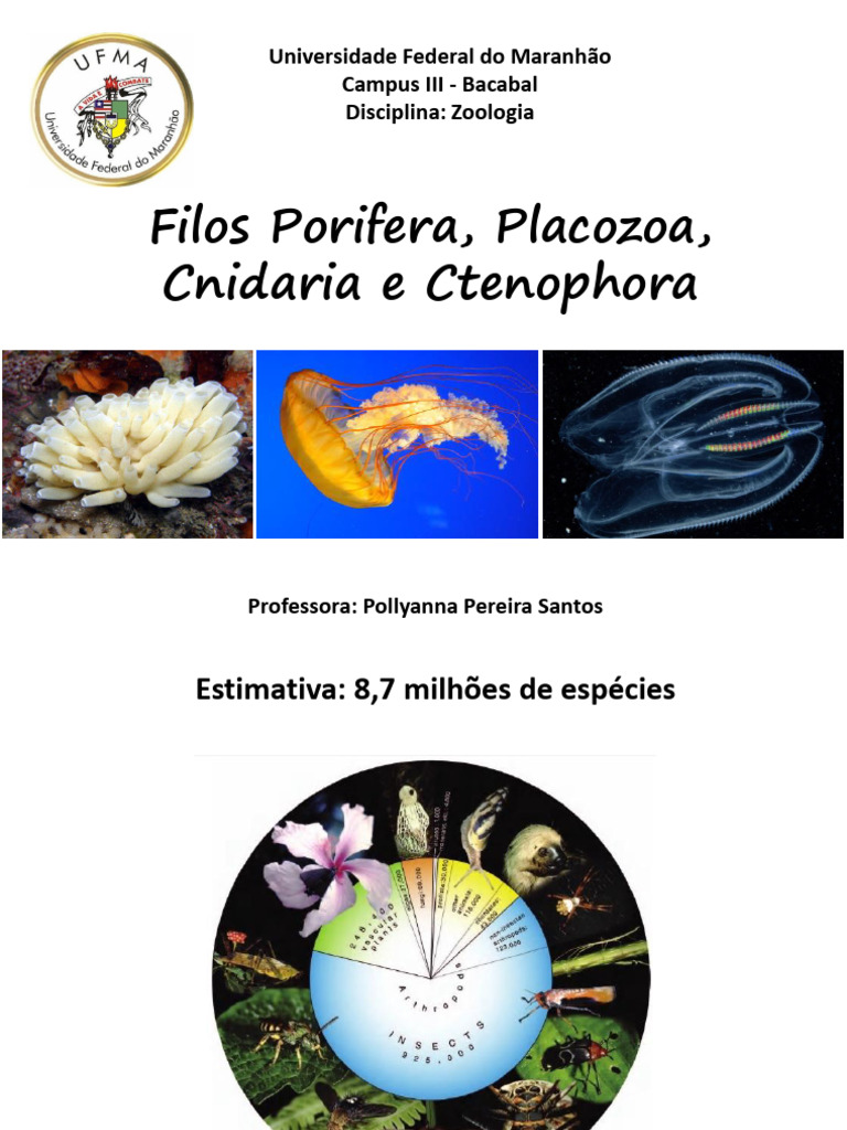 Aula 4 Porifera Placozoa | PDF | Esponja | Biologia