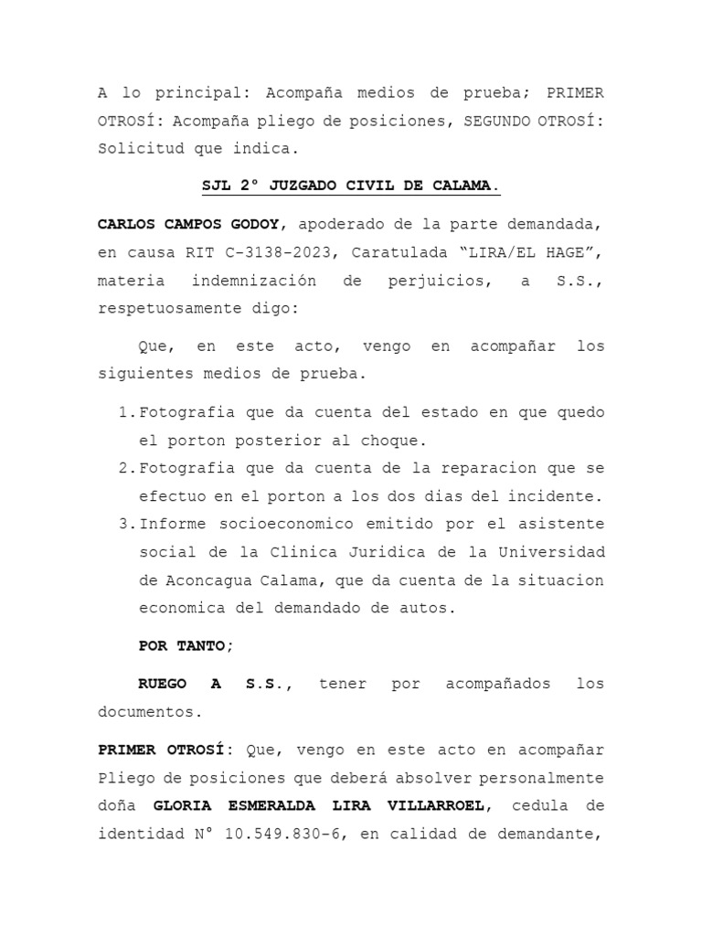 Acompaña Documentos Prueba | PDF | Derecho