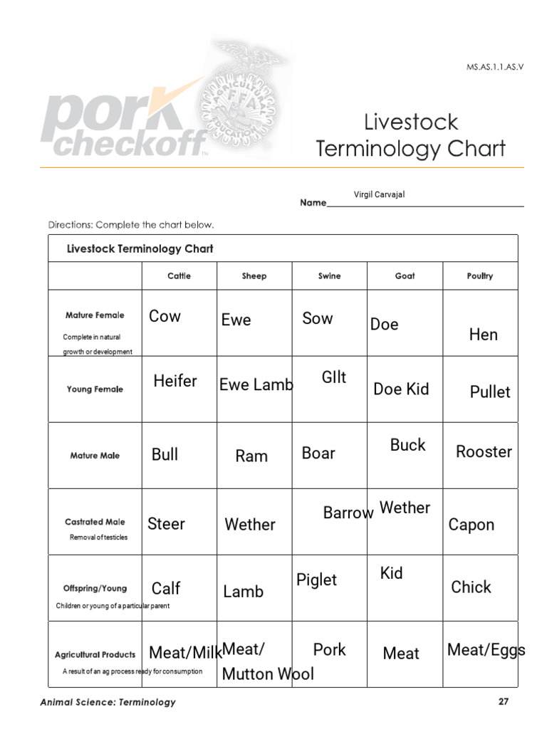 Livestock Terminology Guide | PDF