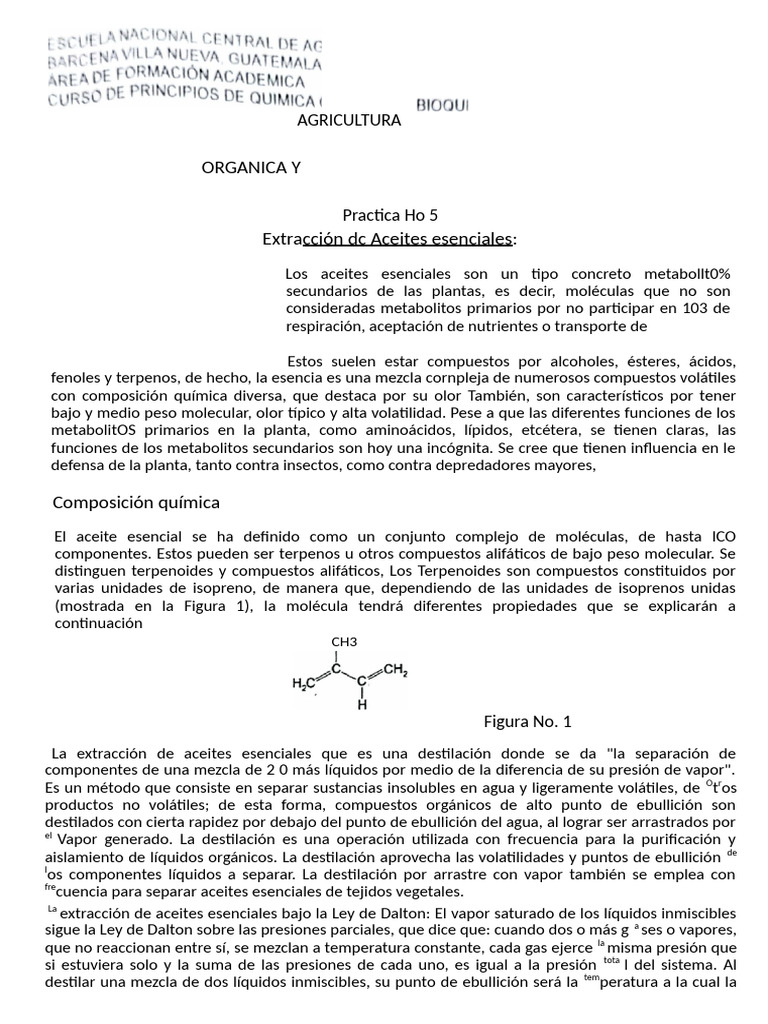 Documento Corto | PDF | Destilación | Aceite esencial