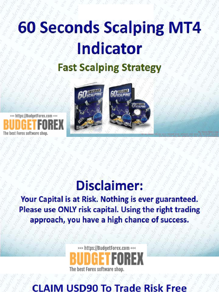 60 Seconds Scalping Indicator User Guide | PDF