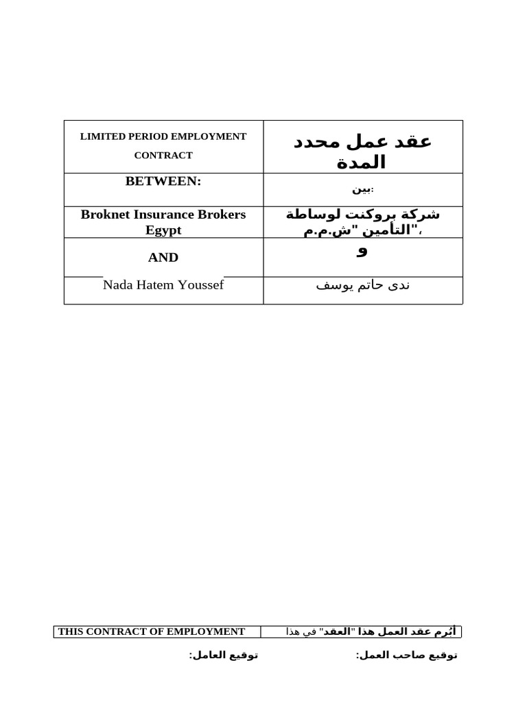 Nada Hatem Youssef | PDF