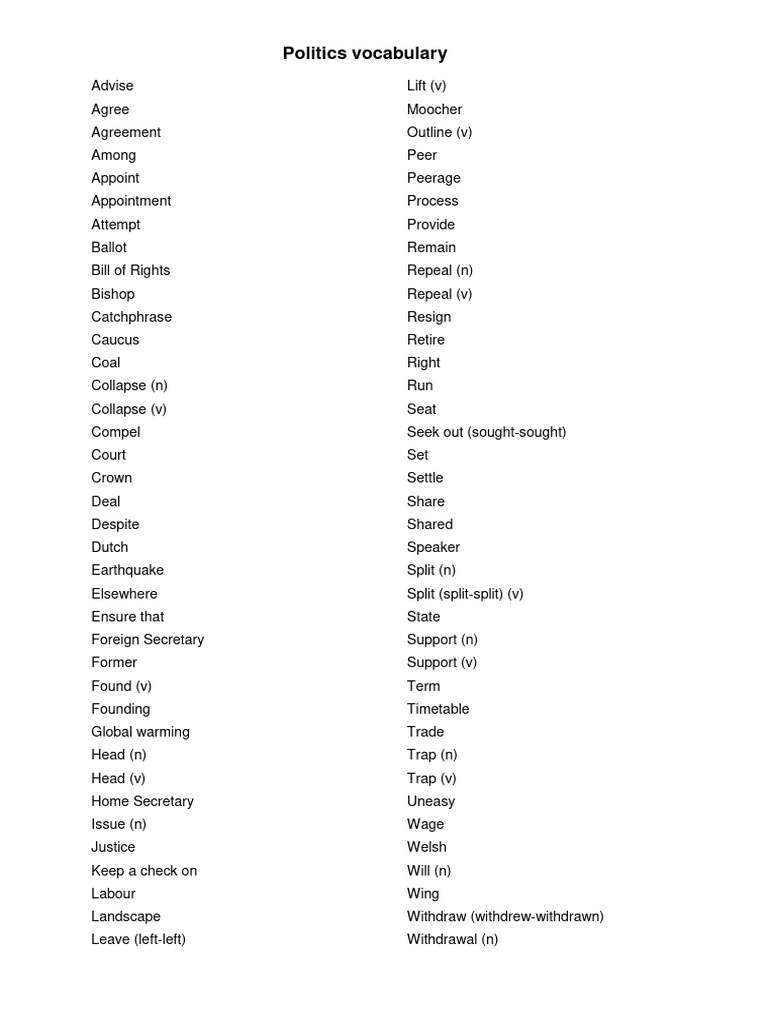Politics Vocabulary | PDF