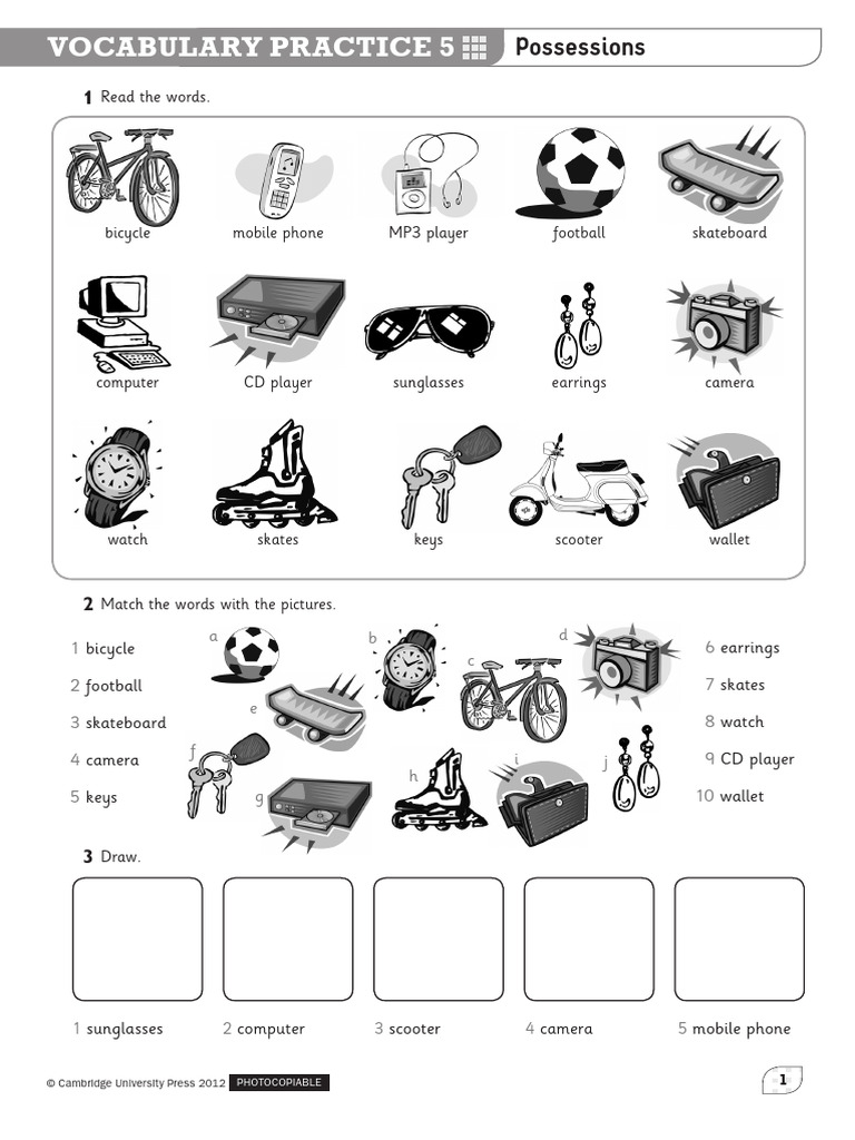 Possessions Vocabulary Practice | PDF