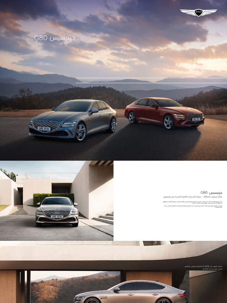 Genesis Rg3 g80 FL Brochure Ar | PDF