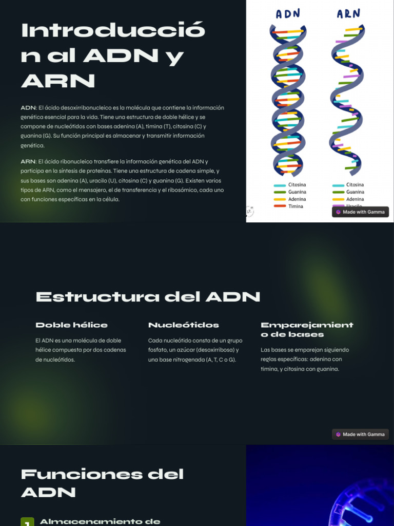 Introducción-al Adn y ARN | PDF | Rna | Adn