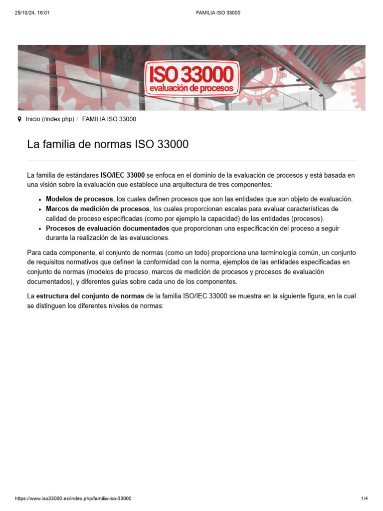 ISO 33000 Desarrollo de Software | PDF | Organización internacional ...