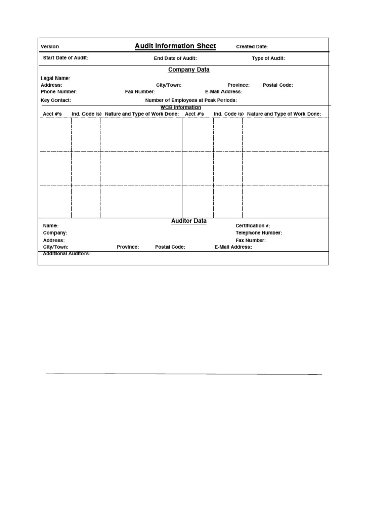 E Audit | PDF | Occupational Safety And Health | Employment