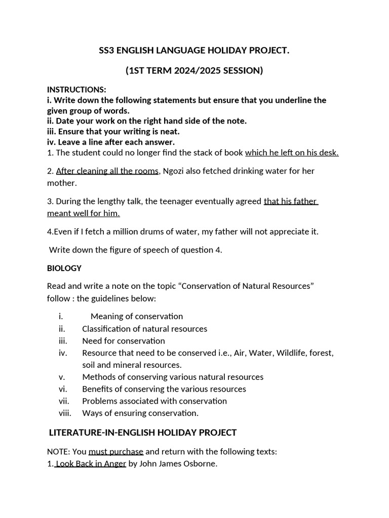 Ss3 Holiday Project 1 | PDF | Nervous System