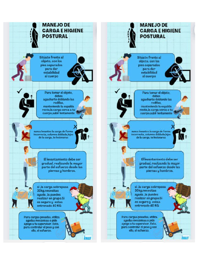 Carga e higiene postural | PDF