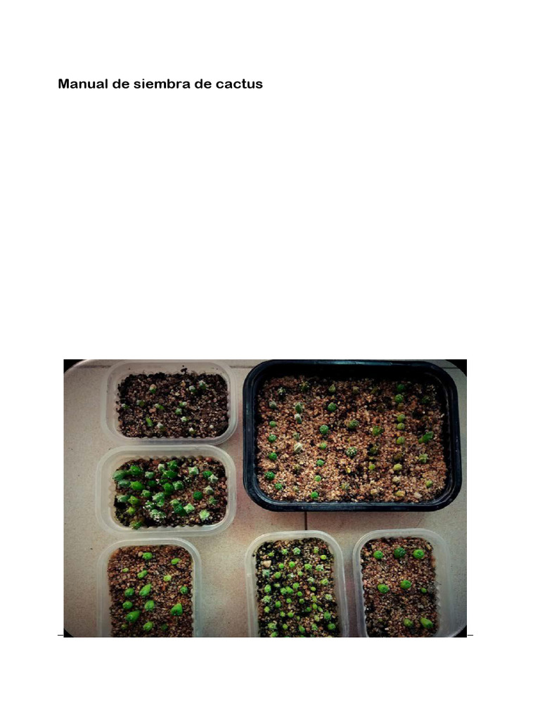 Manual de Siembra de Cactus I | PDF