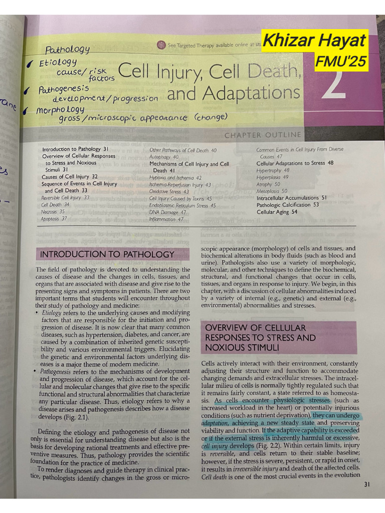 Cell Injury | PDF