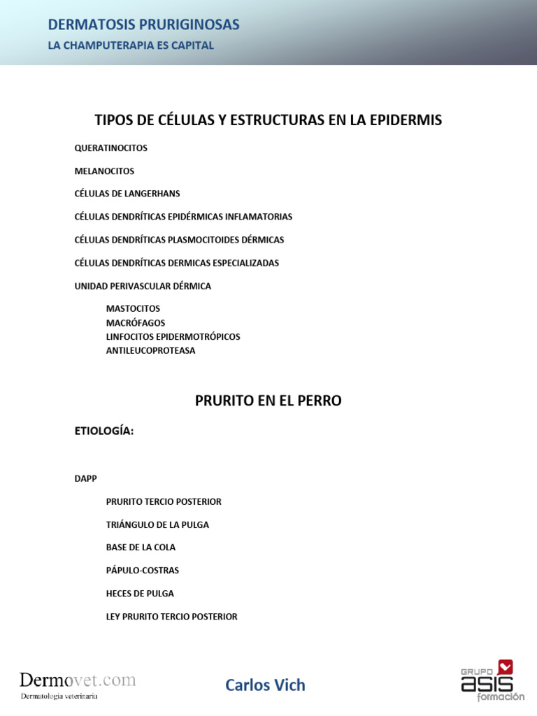 Dermatosis Pruriginosas Material-Complementario | PDF | Célula ...