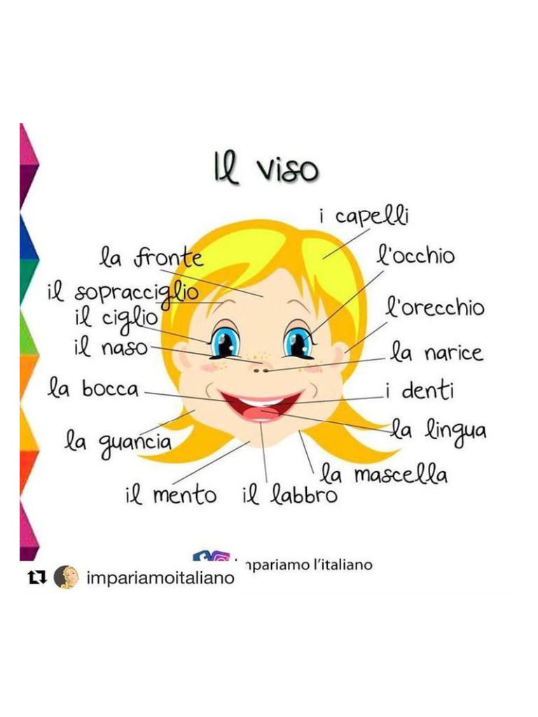 Le Parti Del Viso | PDF