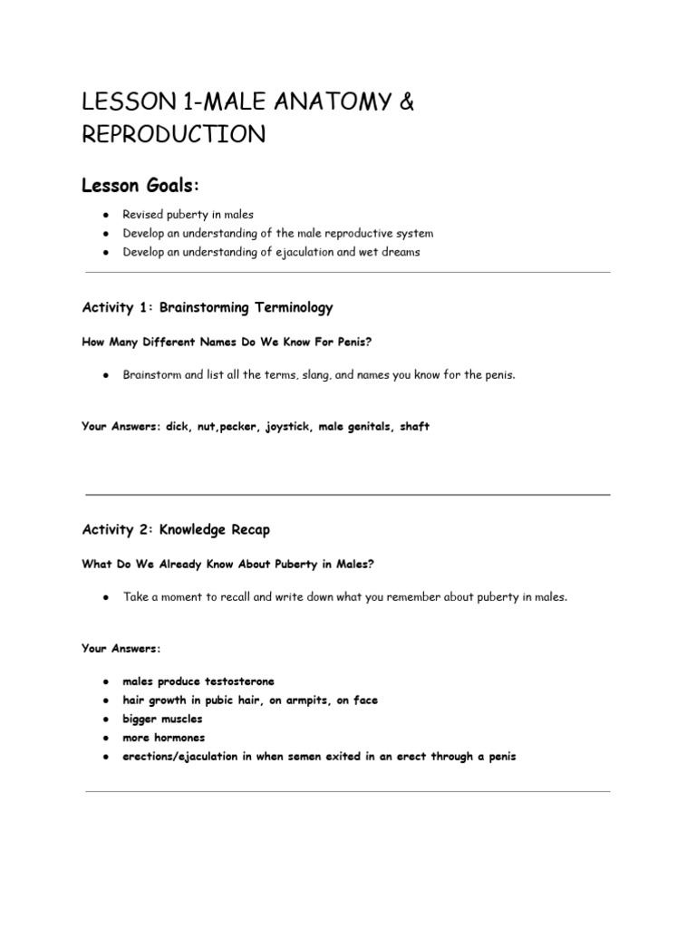 Lesson 1-Male Anatomy & | PDF | Puberty | Ejaculation