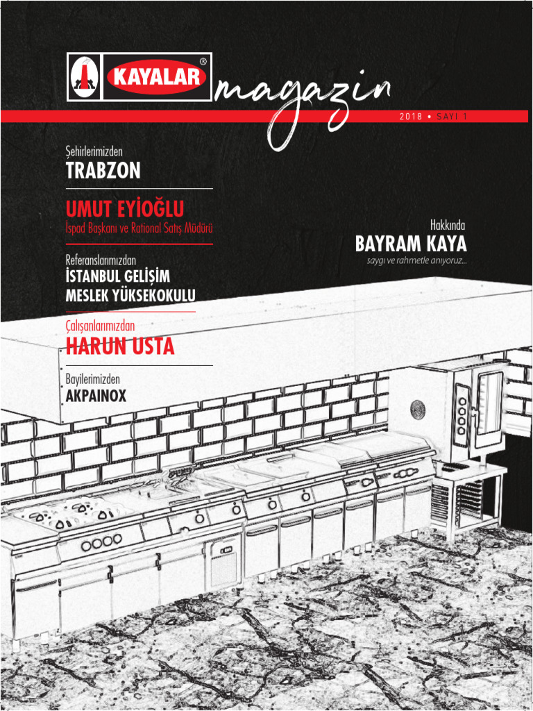 Dosyakayalar Celik Dergi 1 - 1582619853 | PDF