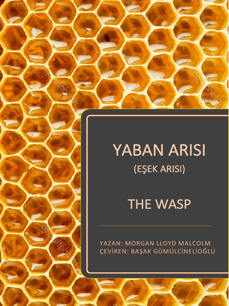 YABAN ARISI (Esek Ars) - MORGAN LLOYD MALCOLM - BASAK GUMULCINELIOGLU | PDF