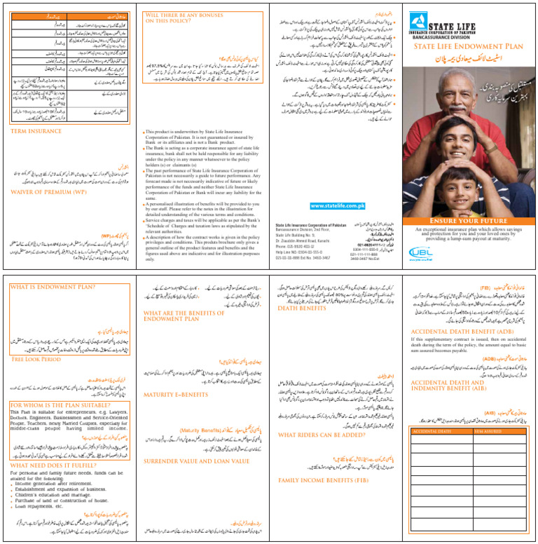 StateLife Endowment Plan Brochure | PDF | Life Insurance | Insurance