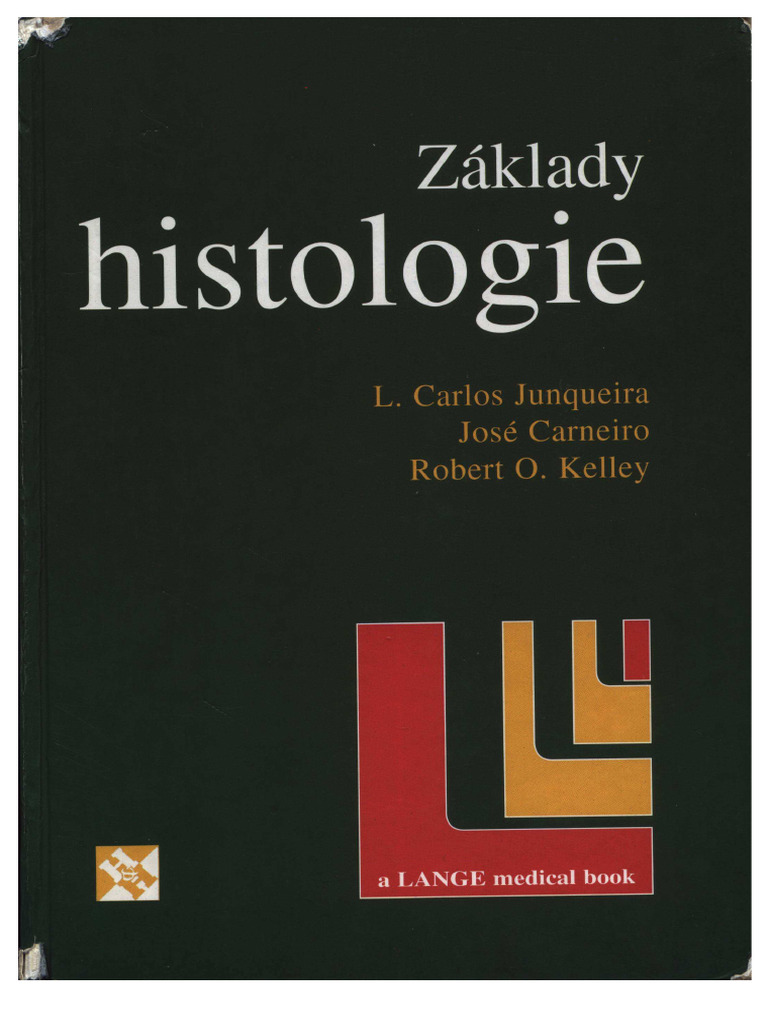 Jak P Idat Dek V Excelu N Vod Z Klady Excelu Youtube - Free Word Template