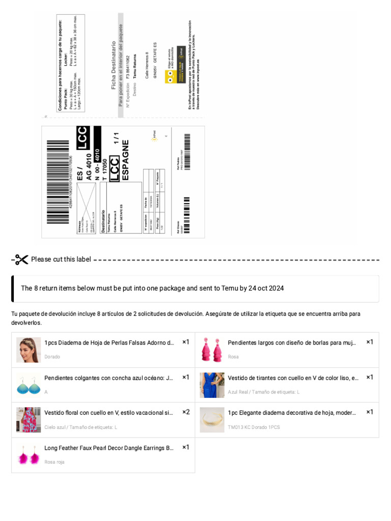 Temu Web Document | PDF