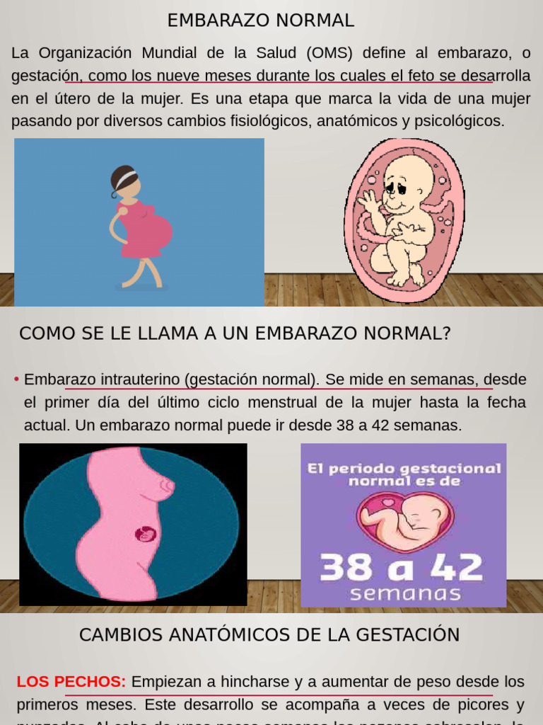 embarazo normal | PDF | El embarazo | Útero