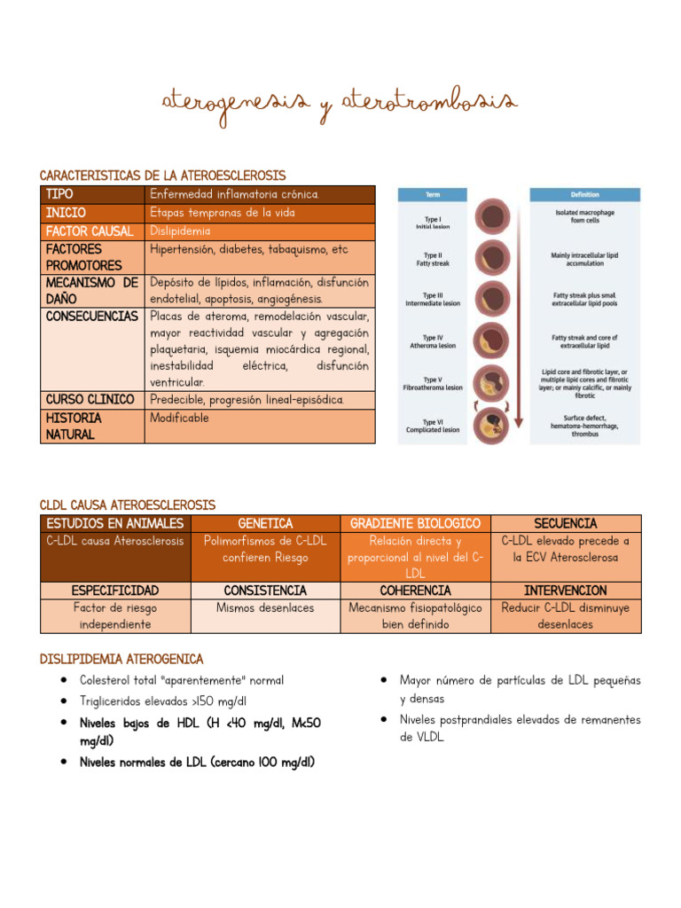 Aterogénesis y Aterotrombosis | PDF | Aterosclerosis | Enfermedades y ...