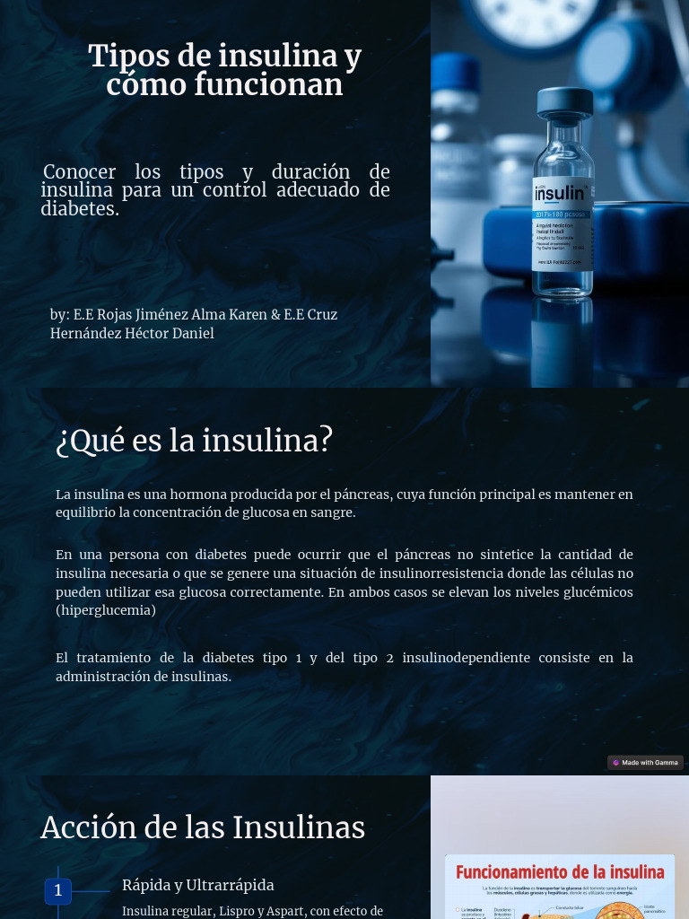 Tipos y Funciones de la Insulina | PDF | Diabetes | Insulina
