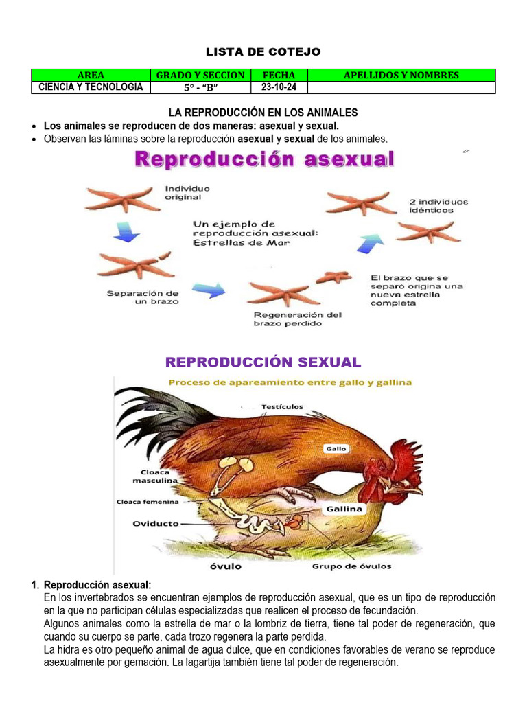 Estudiantes - Ciencia y Tecnología - ¿Cómo Se Reproducen Los Animales ...