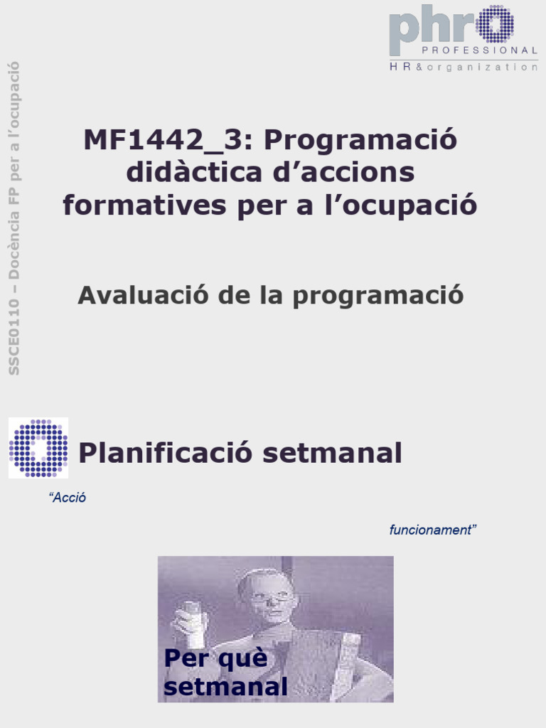 PPT110 Avaluació de La Programació | PDF