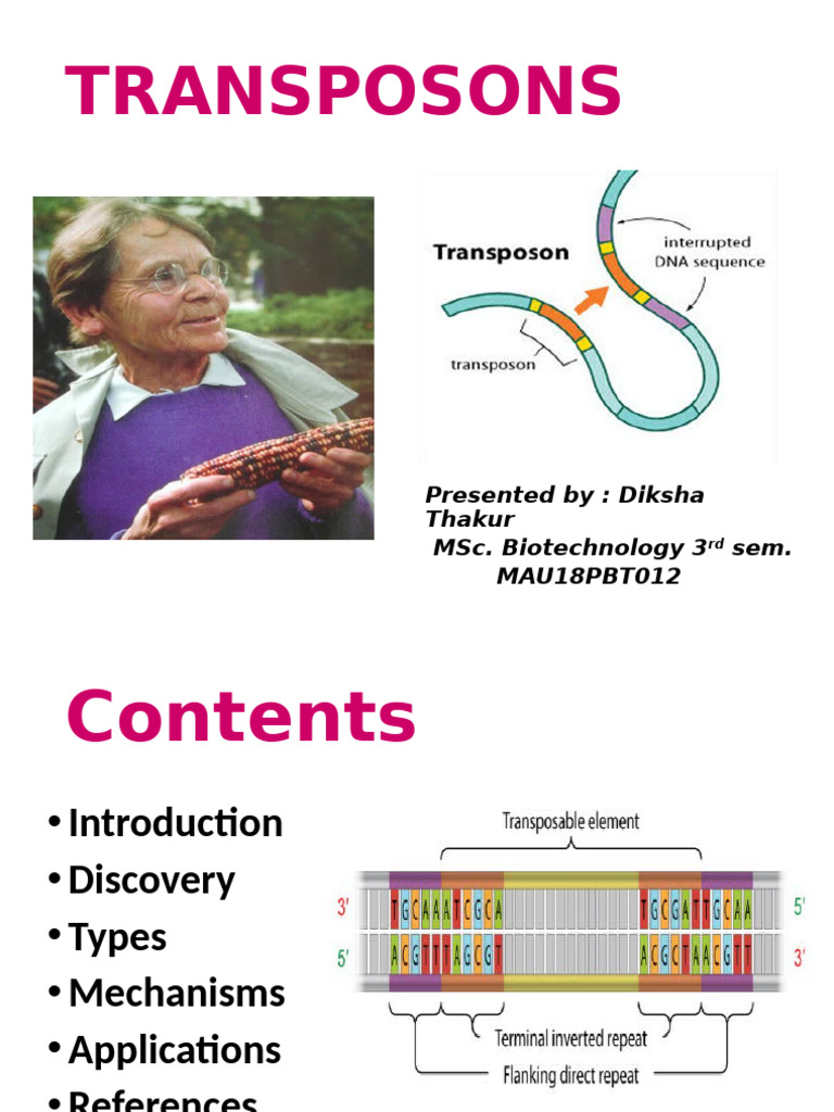 TRANSPOSONS | PDF | Transposable Element | Genome