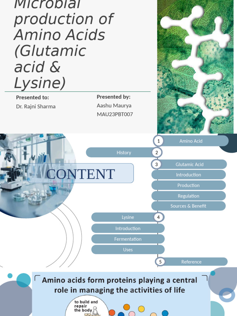 Microbial Production of Amino Acids (Glutamic Acid | PDF | Pyruvic Acid ...