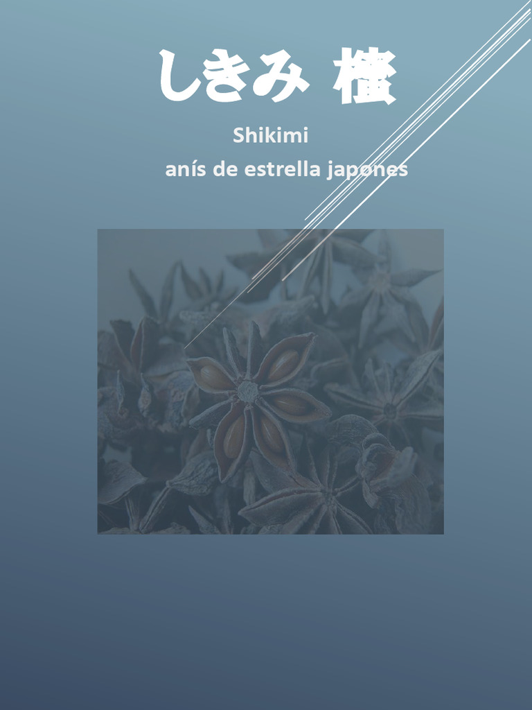 Características de la planta Shikimi | PDF | Carne