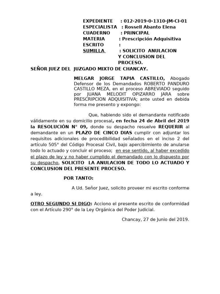 SOLICITO CONCLUSION DEL PROCESO | PDF