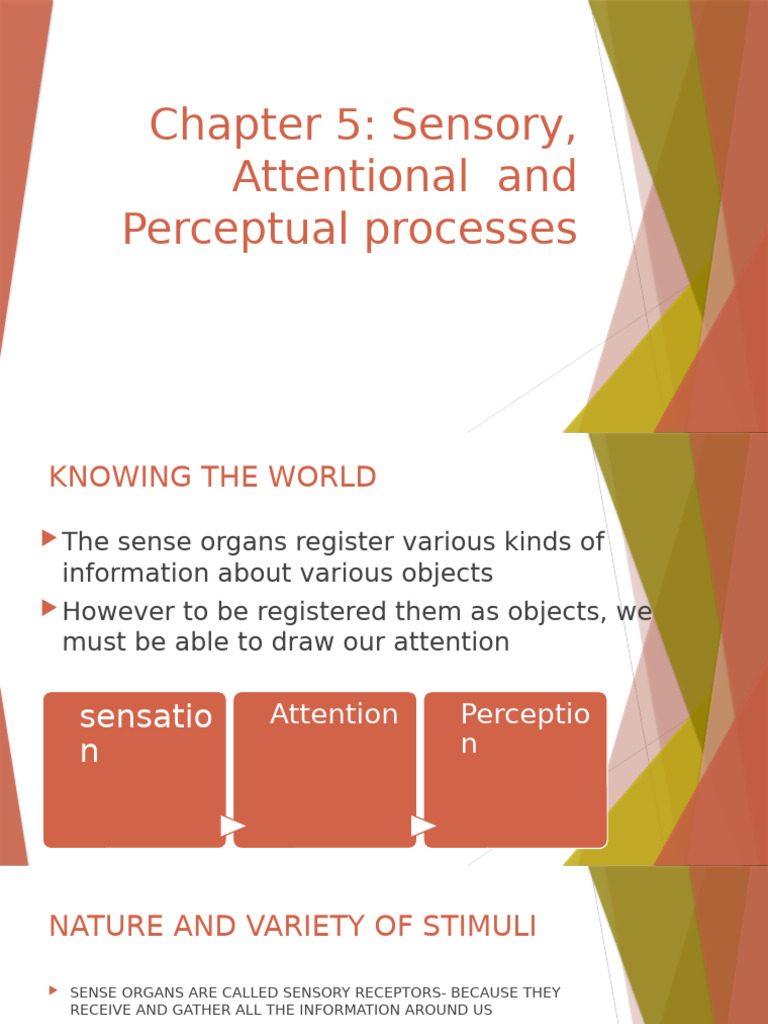Chapter 5 | PDF | Senses | Attention