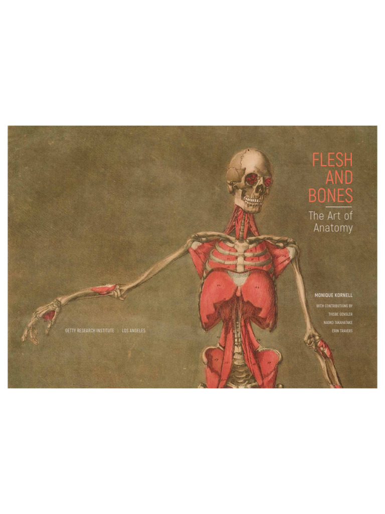 Flesh and Bones The Art of Anatomy With | PDF | Anatomy | Cadaver