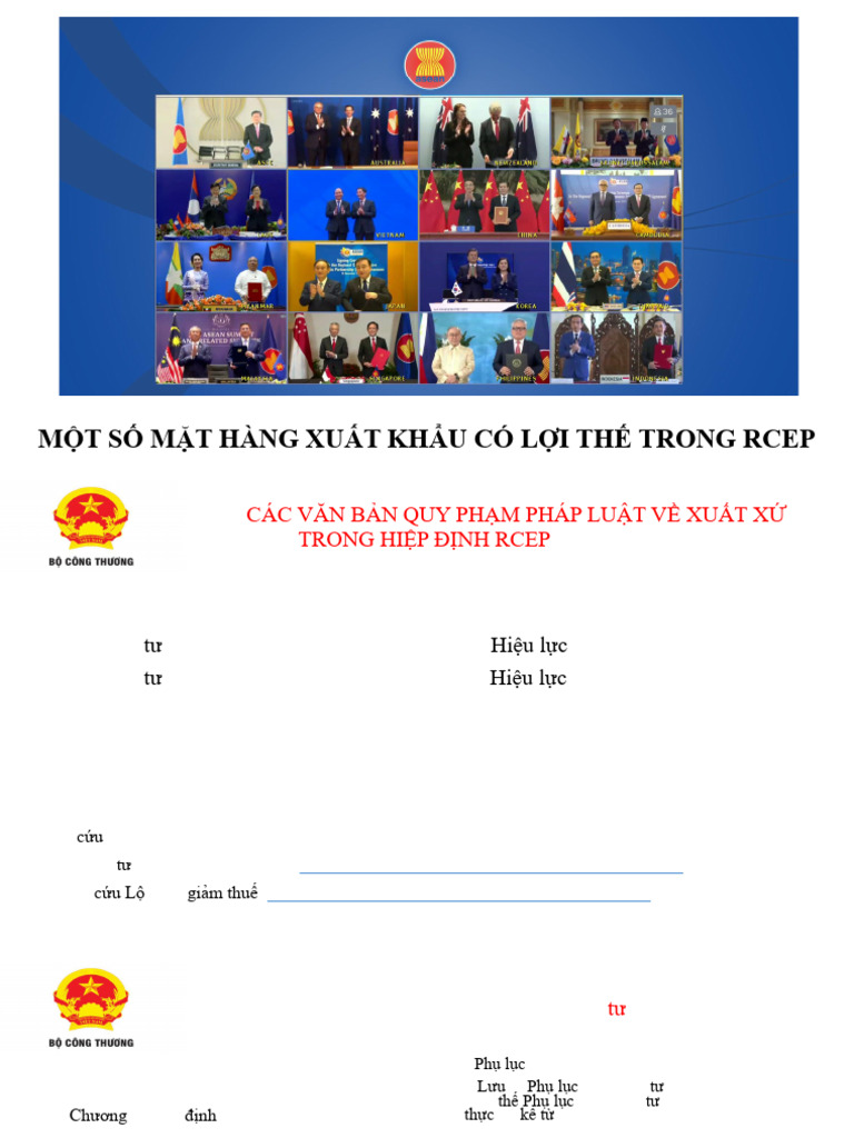 Một Số Mặt Hàng Có Lợi Thế Xuất Khẩu Trong RCEP | PDF