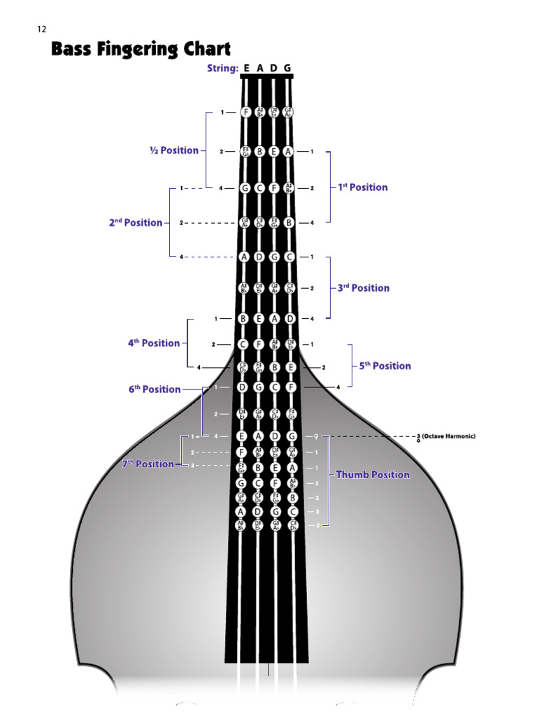 Double Bass Fingering Chart | PDF