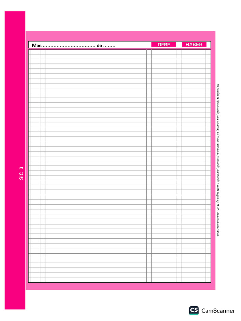 Libro Diario 2 Columnas Contabilidad | PDF