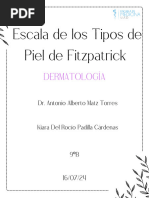Clasificación de Fototipos de Fitzpatrick | PDF | Apariencia humana ...