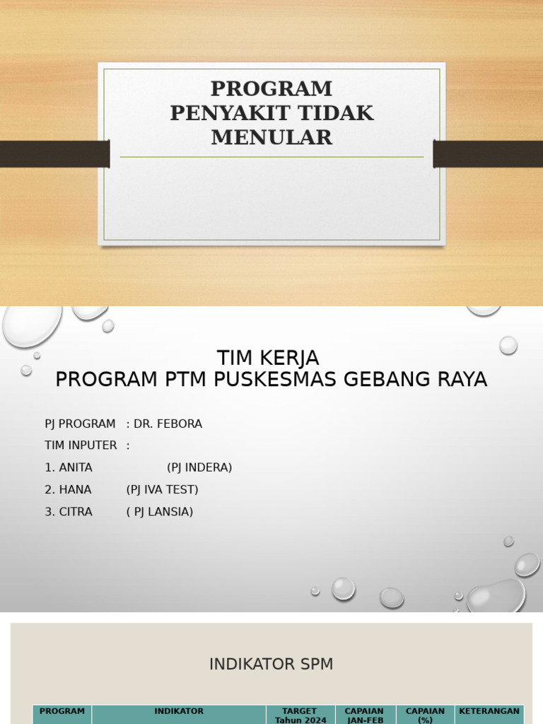 PROGRAM PTM Dan TBC 2024 | PDF