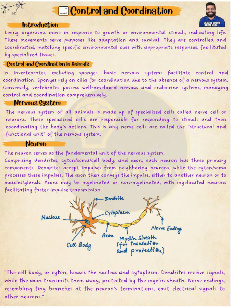 Control & Coordination Notes ~R.P | PDF