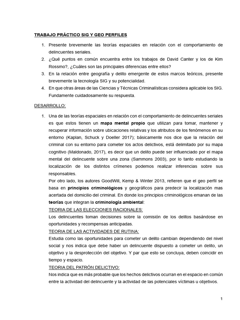 Trabajo Práctico Sig y Geo Perfiles PDF | PDF | Sistema de información ...
